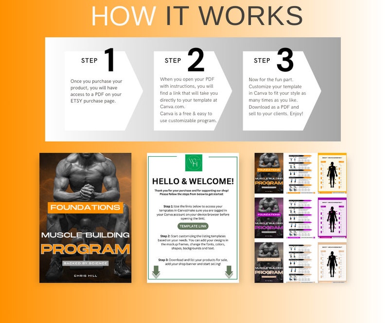 Program Templates for Fitness Coaches Professional Training Plans Gym ...