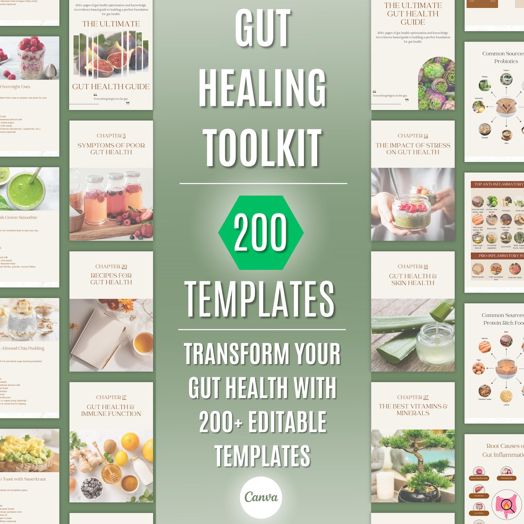 Gut Health Guide Templates for Coaches | Customizable Wellness Program ...