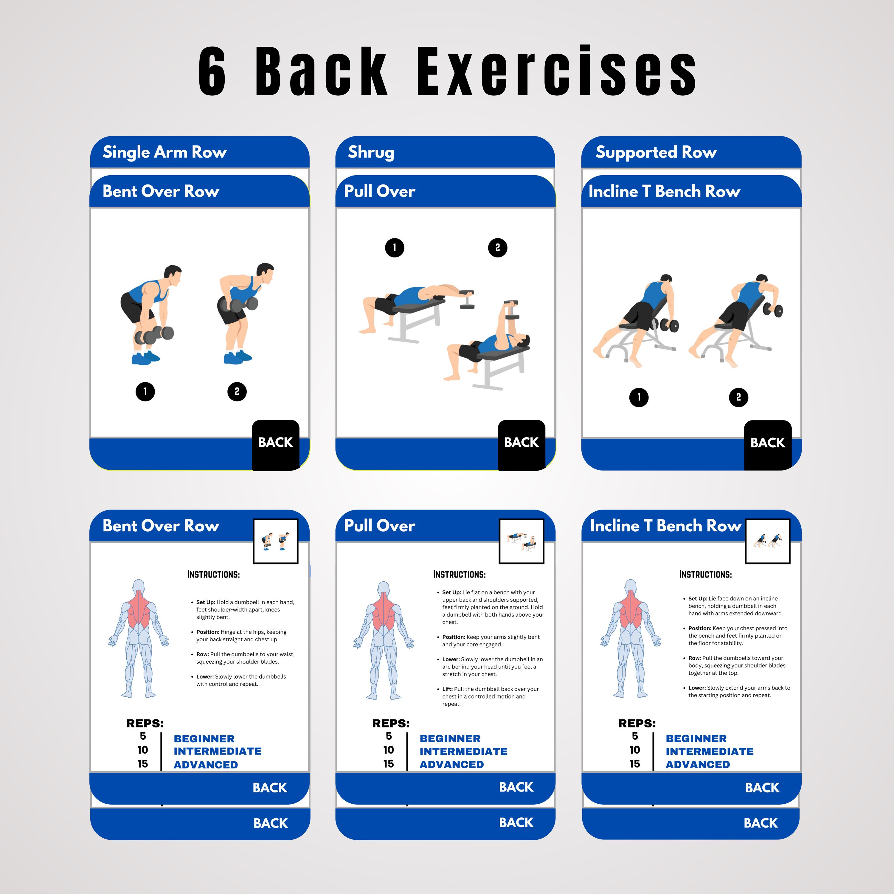 Dumbbell Exercise Cards Workout Templates Fitness Coaches Health ...