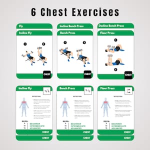 Dumbbell Exercise Cards Workout Templates Fitness Coaches Health ...