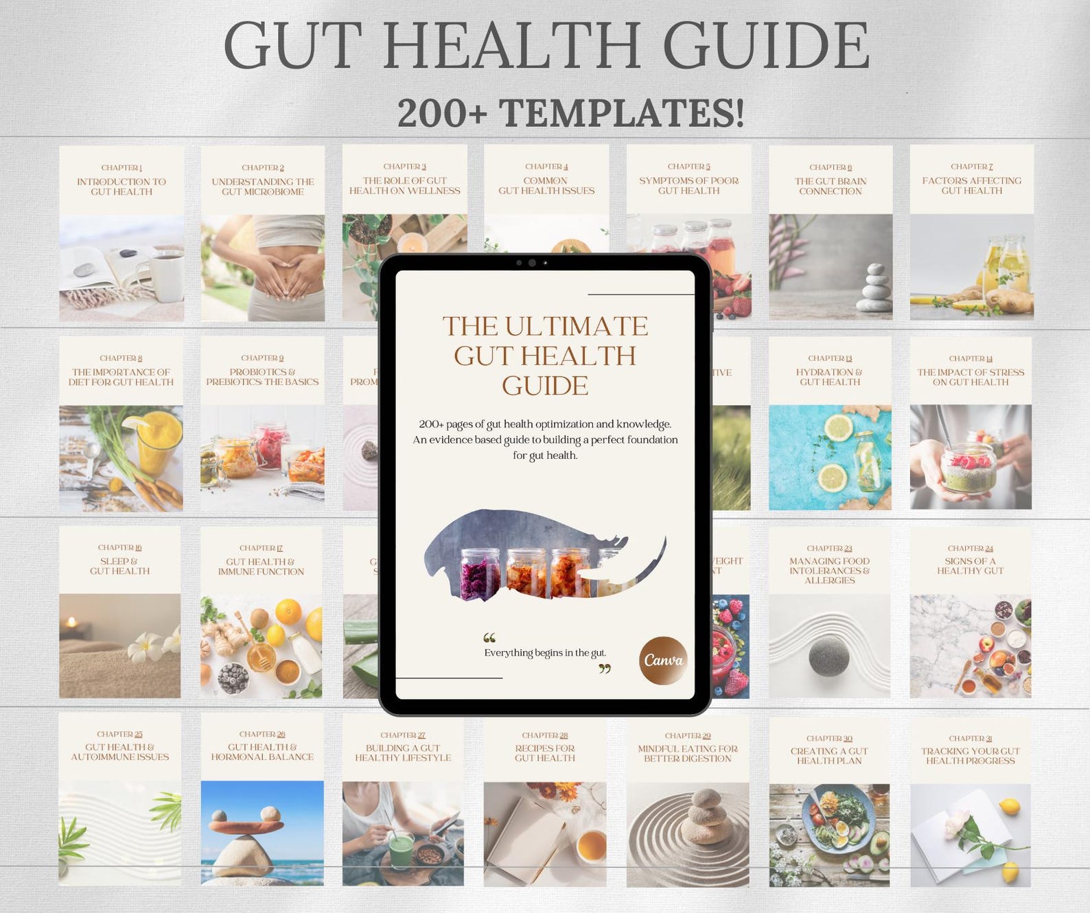 Gut Health Guide Templates for Coaches | Customizable Wellness Program ...