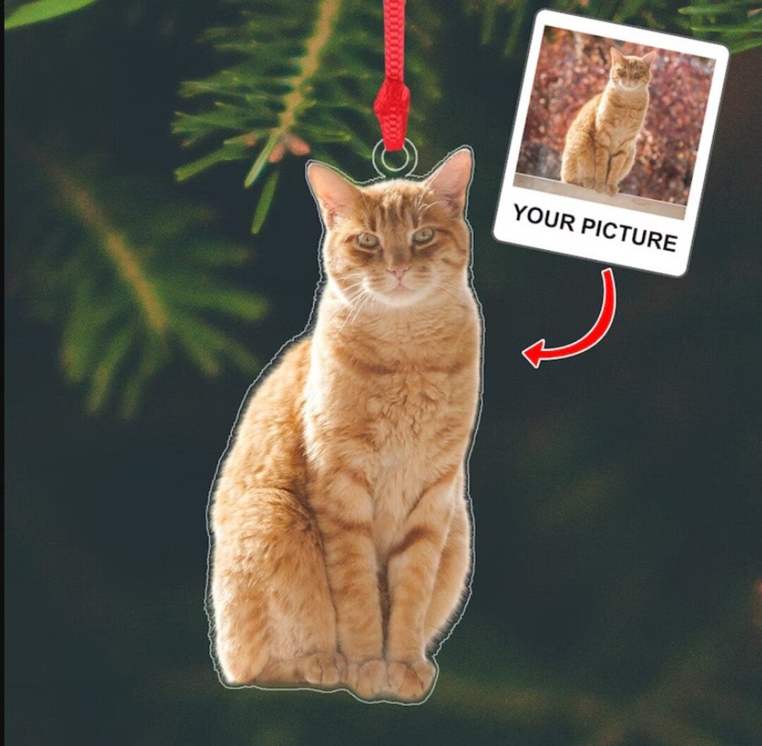 Picture Ornament Christmas Family Photo Gifts Pet Photo - Etsy