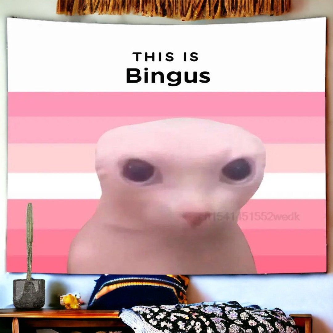 Bingus Tapestry Flag Wall Hangings Dorm Room Decor Banner - Etsy