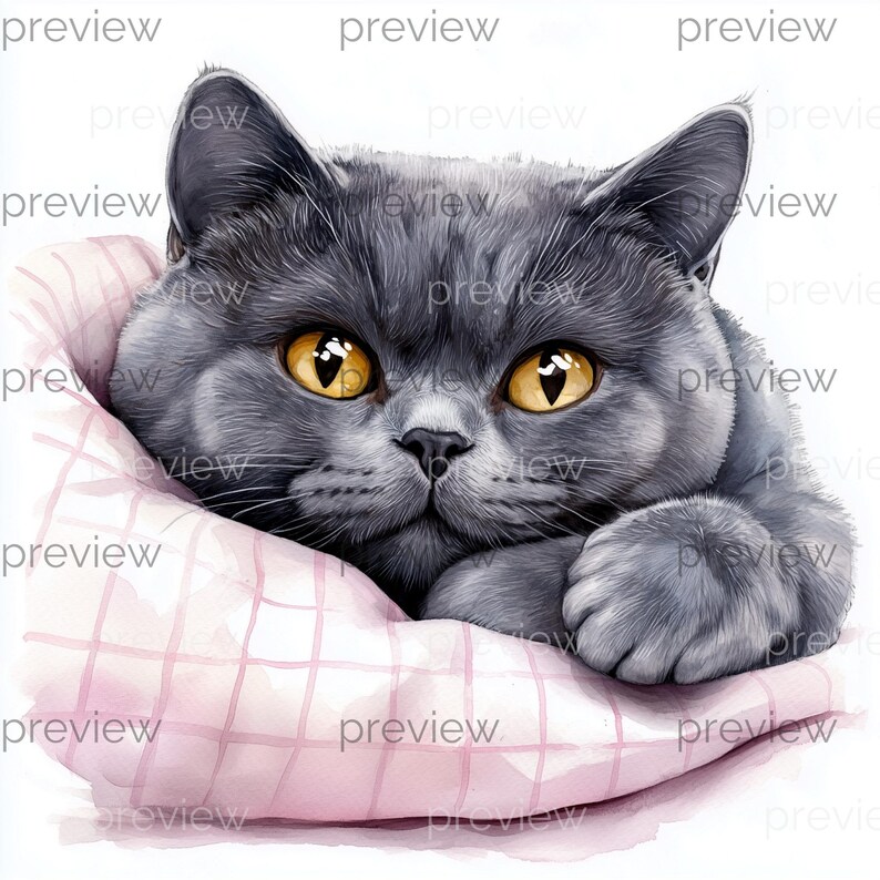 British Cat Watercolor, British Cat Clipart, British Cat 24 JPG HQ, Cat ...