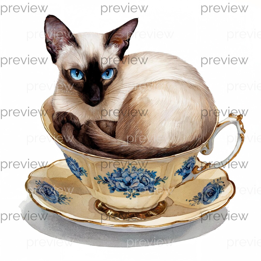 Cat in a Cup Clipart, Cat in Teacup, Domestic Cat, 22 JPG HQ, Cat in ...
