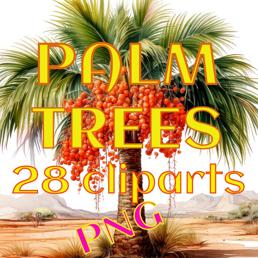 28 Watercolor Palm Trees Clipart Beach Graphics PNG, Digital Tropical ...