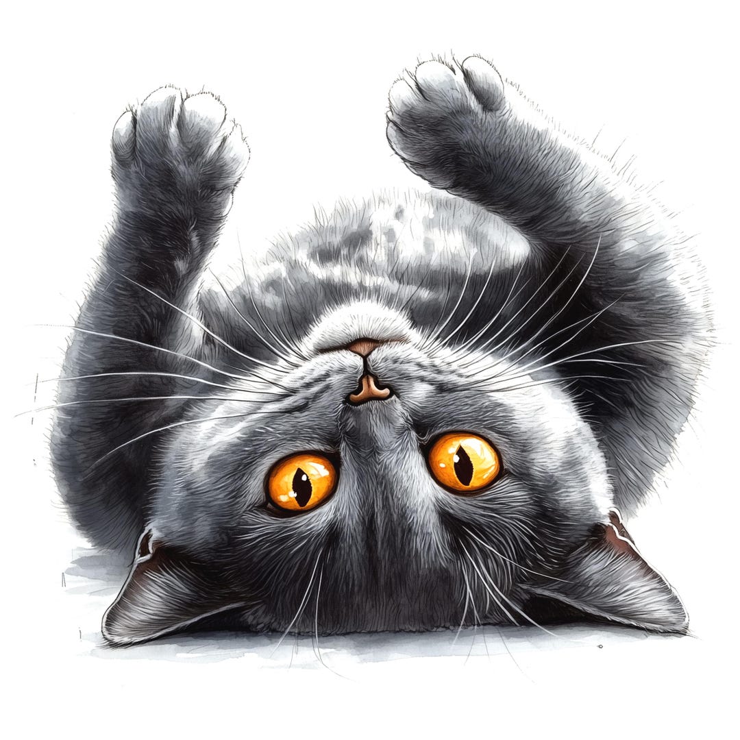 British Cat Watercolor, British Cat Clipart, British Cat 24 JPG HQ, Cat ...