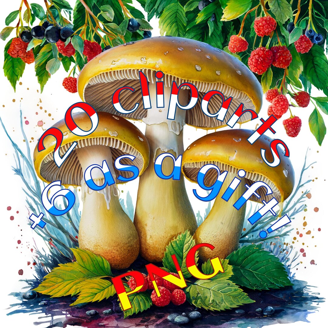 Slippery Jack Mushroom Clipart Bundle, Suillus Mushroom Illustration ...
