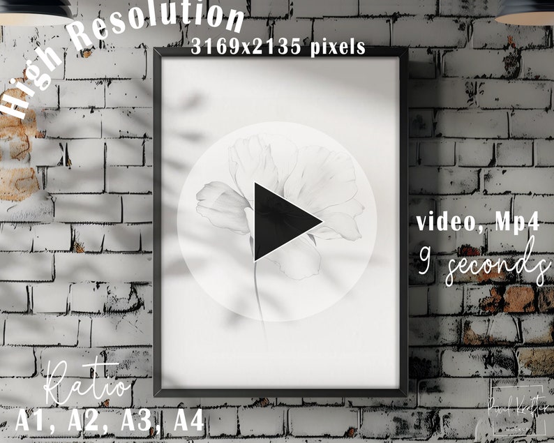 DIN A ISO Wall Art Mockup Video, Seamless Loop, Black Frame MP4 ...