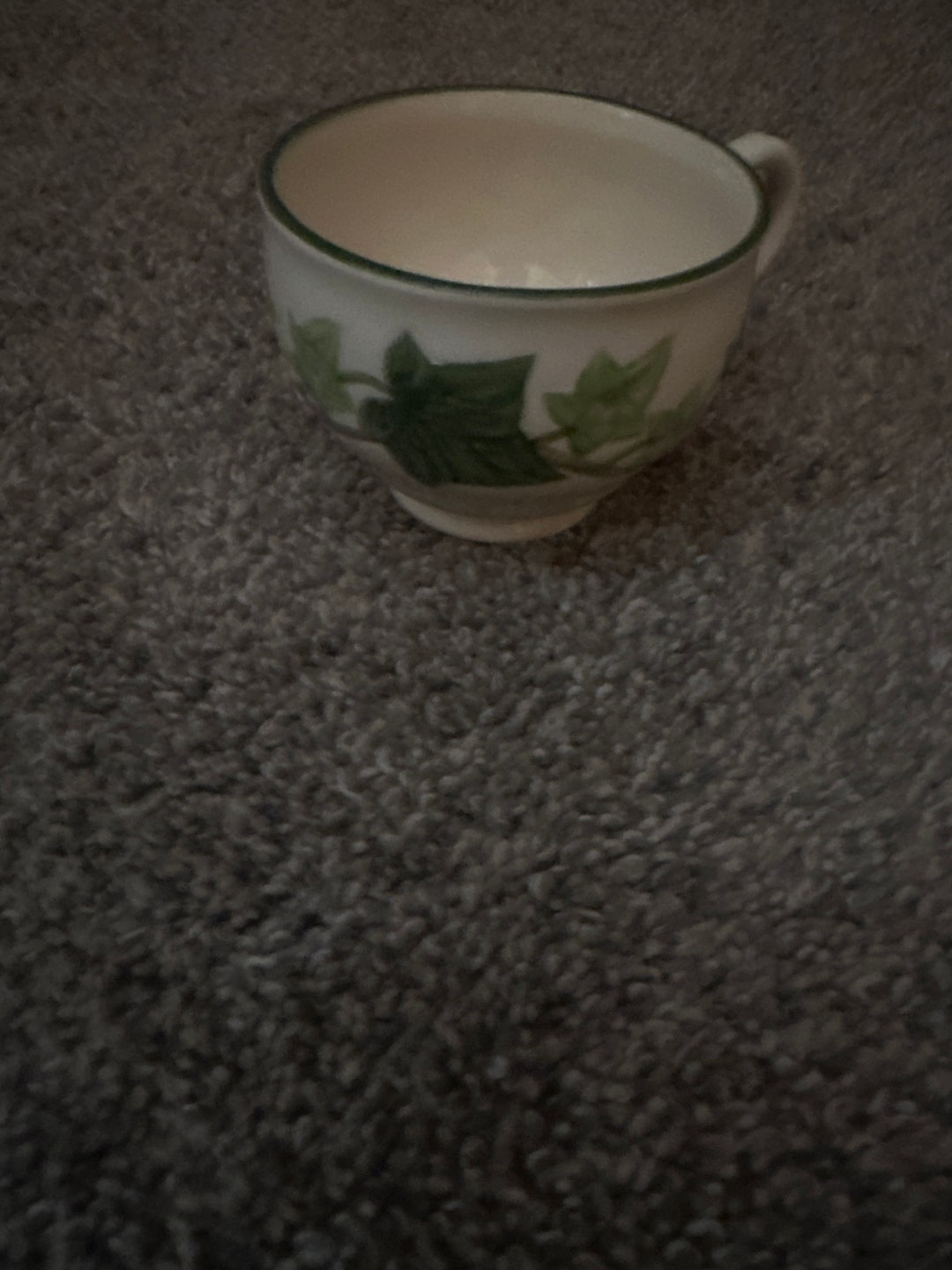 Franciscan Green White Ivy Replacement Cup - Etsy