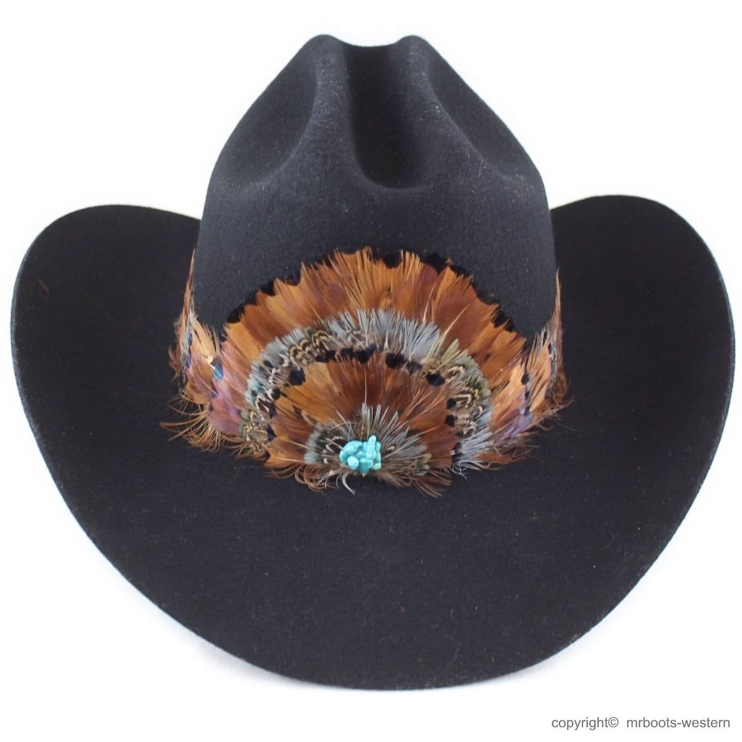 AU-FHB-08 Western Feather Hat Band for Cowboy Hats Natural Brown With ...