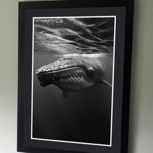 Blue Whale - Wildlife Photography Poster - Wall Art - Home Decor - Etsy