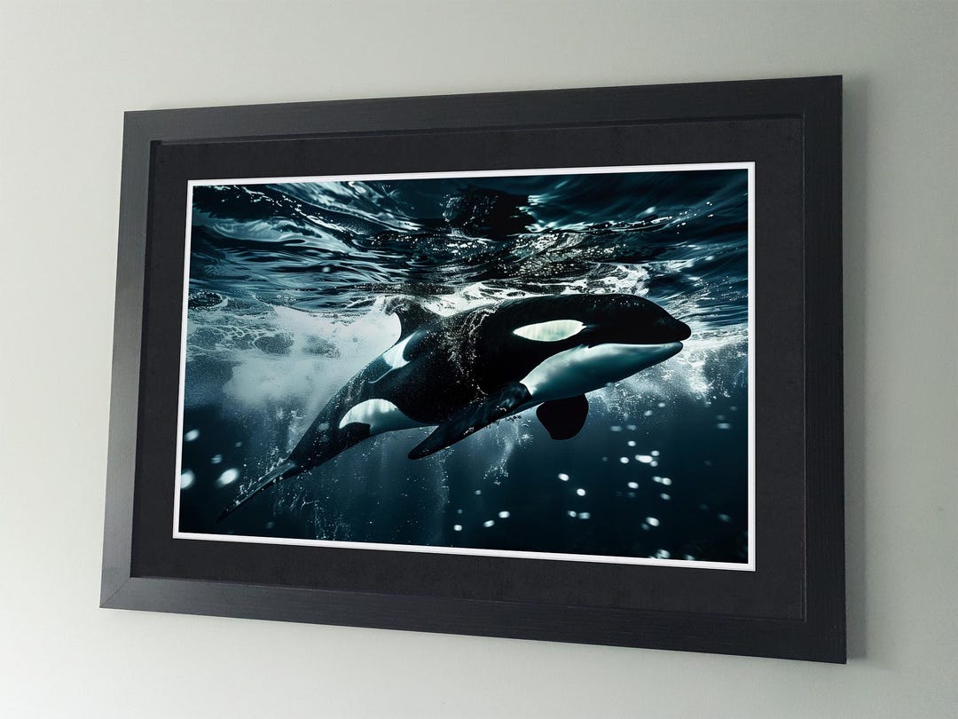 Orca - Wildlife Photography Poster - Wall Art - Home Decor - Etsy