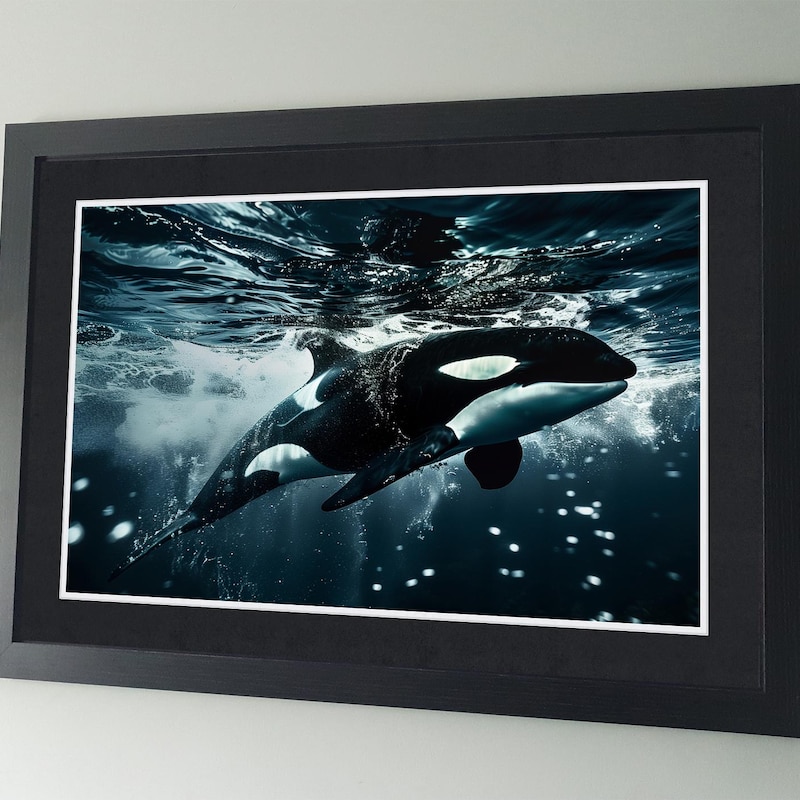 Orca Decor - Etsy