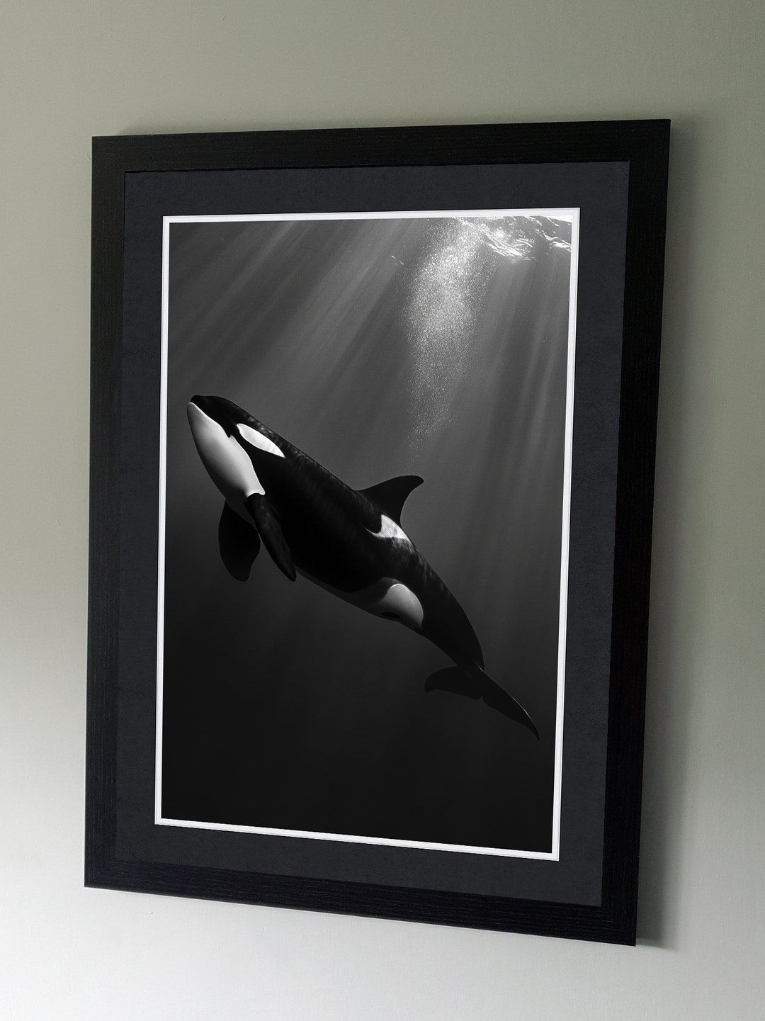 Orca - Wildlife Photography Poster - Wall Art - Home Decor - Etsy