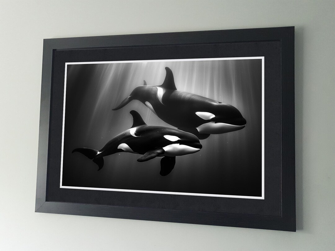Orcas - Wildlife Photography Poster - Wall Art - Home Decor ...
