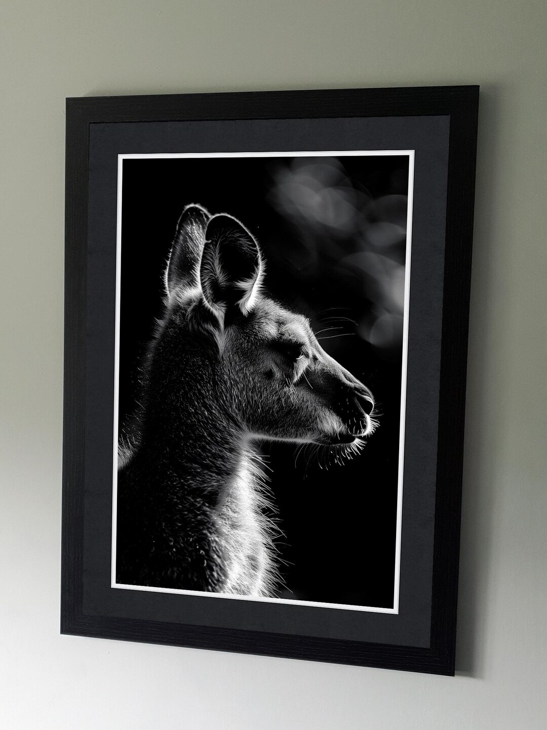 Kangaroo Portrait - B&W Wildlife Photography Poster - Australia - Wall ...