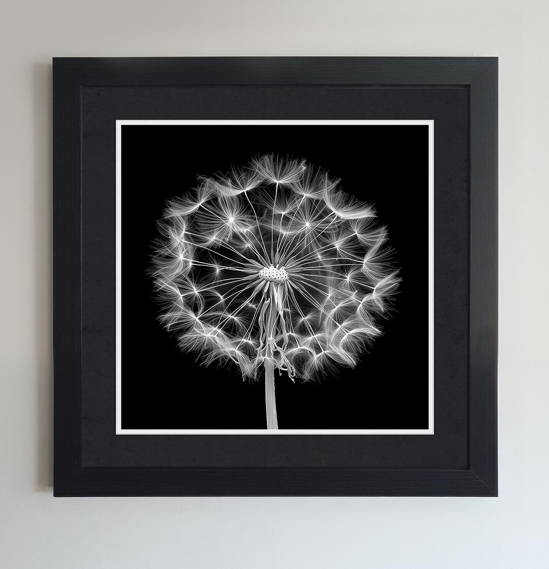 Dandelion Black & White Photograph Poster - Dandelion Wall Art, Vintage ...