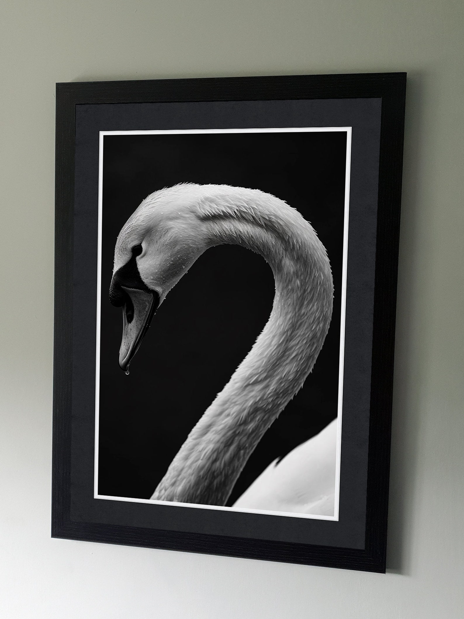 Swan Portrait - B&W Wildlife Photography Poster - Wall Art - Art Lovers ...