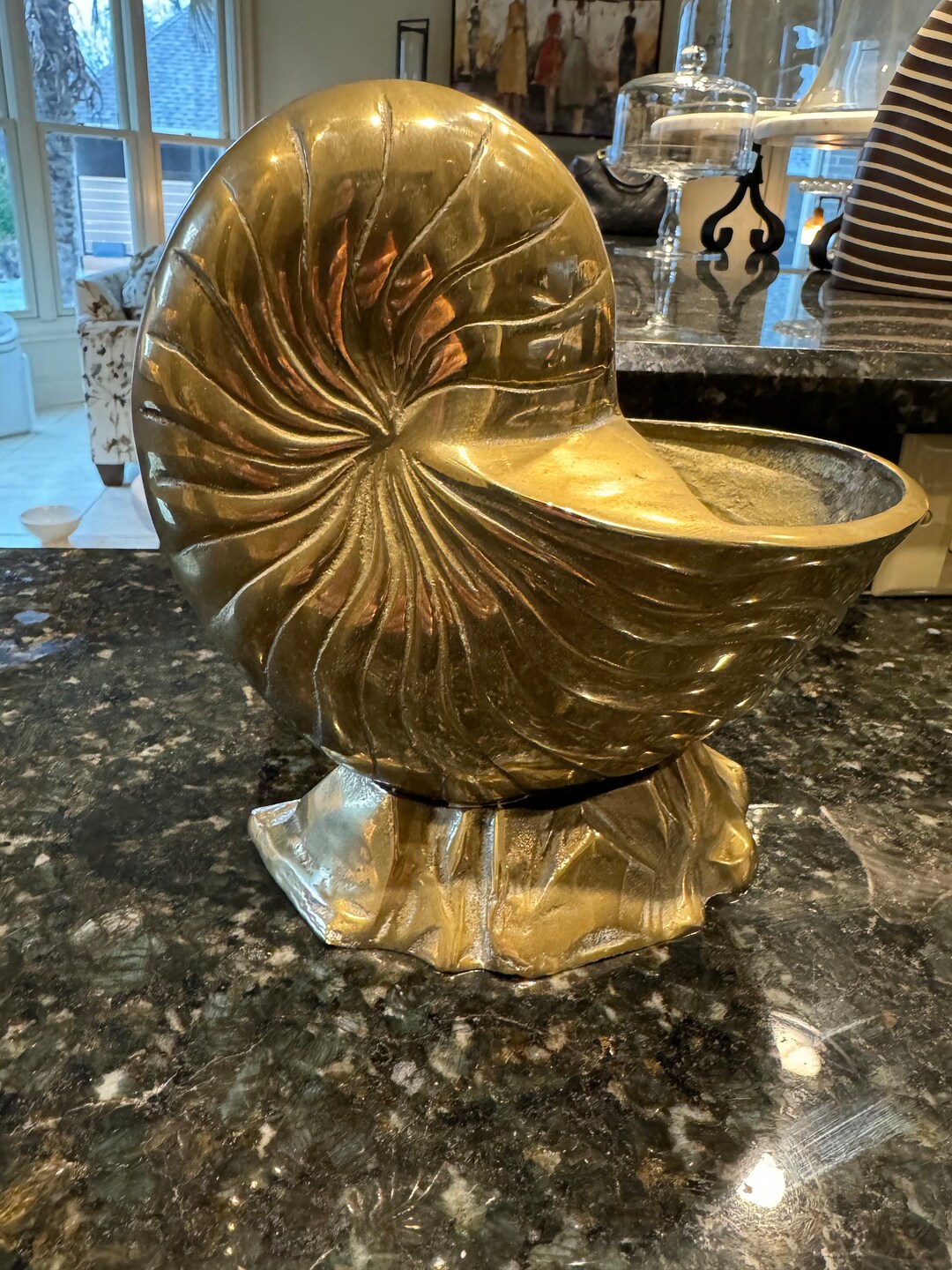1980s Solid Brass Nautilus Shell - Etsy