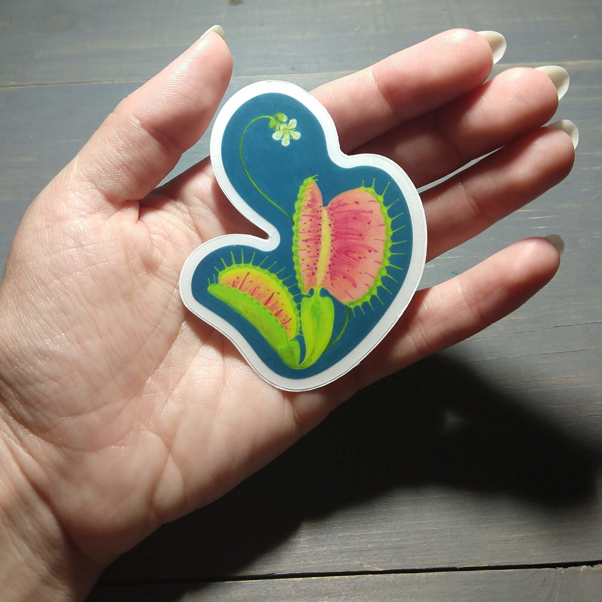 Venus Flytrap Indoor-outdoor Vinyl Decal - Etsy