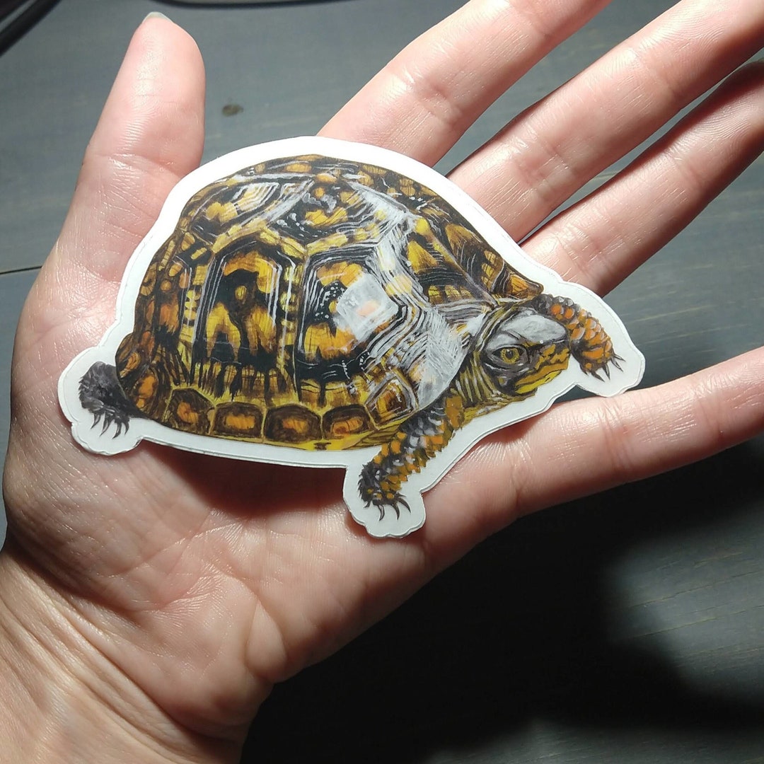 Rainy Day Box Turtle Indoor-outdoor Vinyl Decal (clear Background) - Etsy