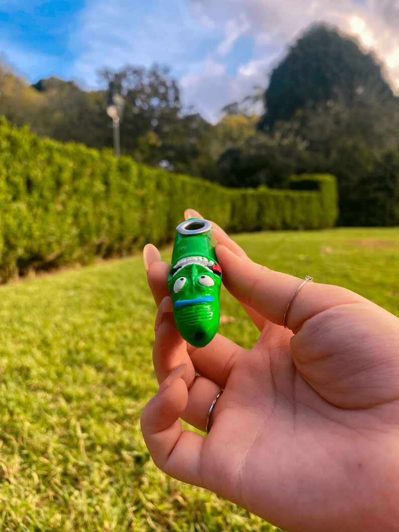 Artesanal Pickle Rick Pipes - Etsy