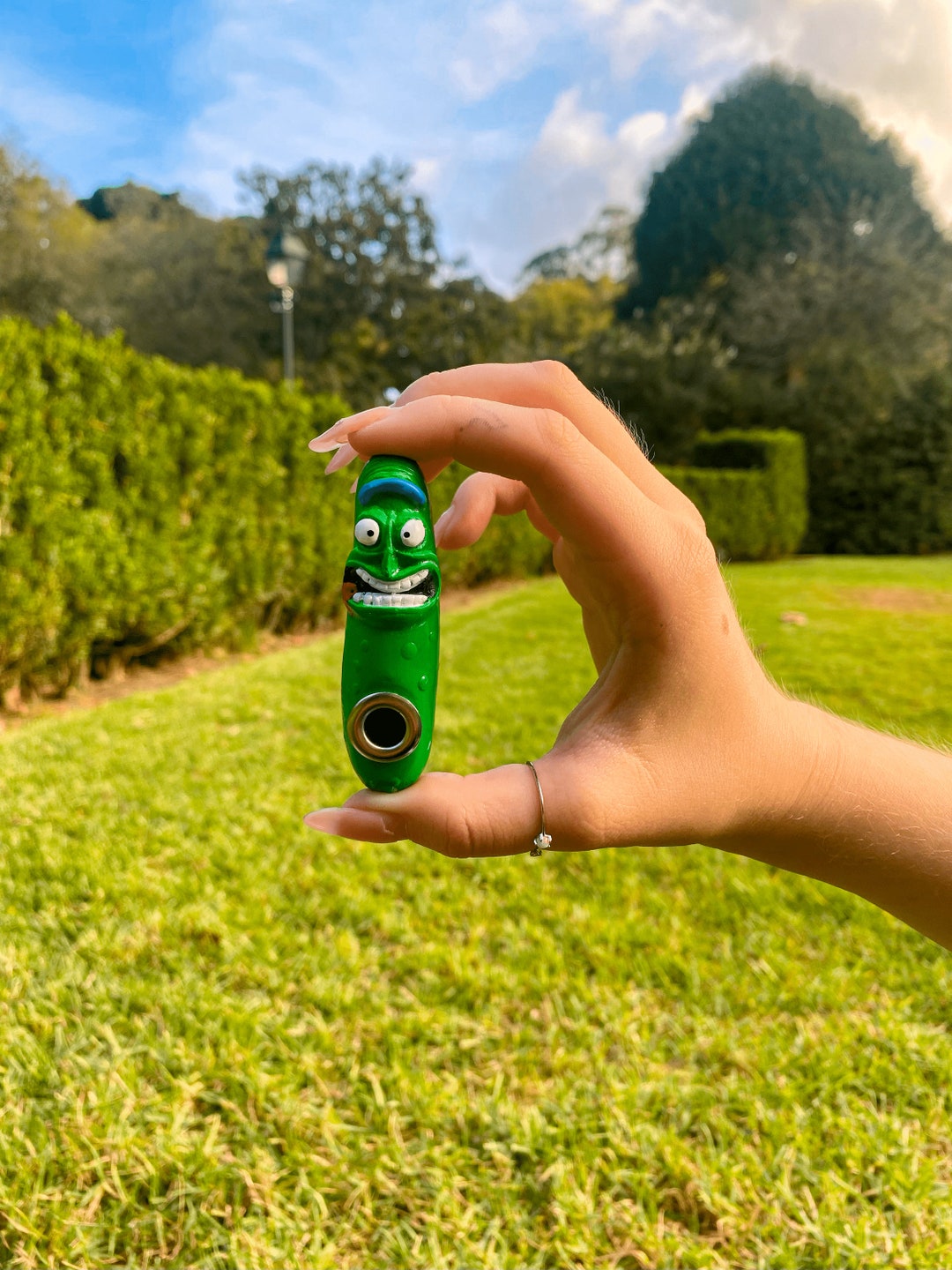 Artesanal Pickle Rick Pipes - Etsy