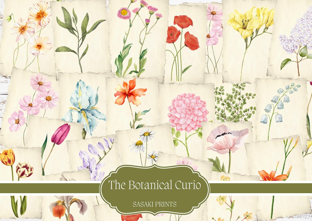 The Botanical Curio Printable | Vintage Botanical Cards | Junk Journal ...