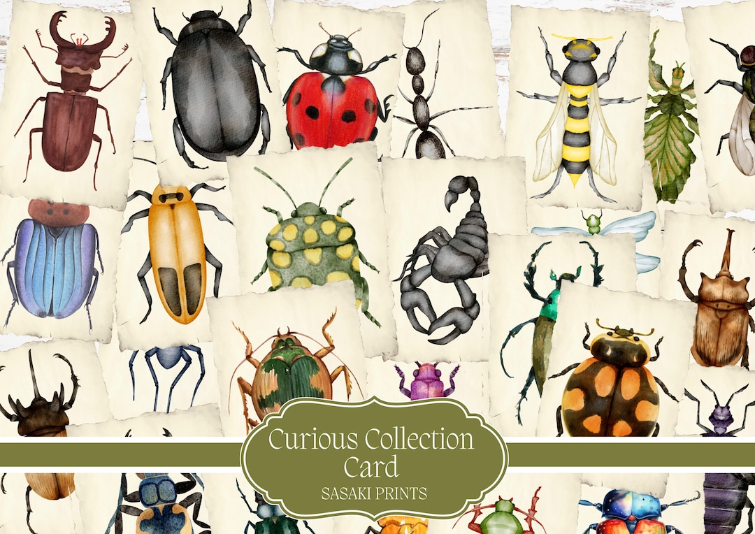 Curious Collection Cards Printable | Vintage Curiosity Cards | Junk ...
