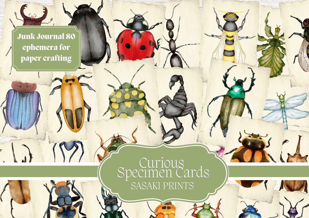 Curious Specimen Cards | Insects Ephemera | Junk Journal Kit ...