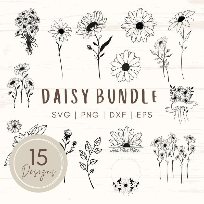 Daisy Svg - Etsy