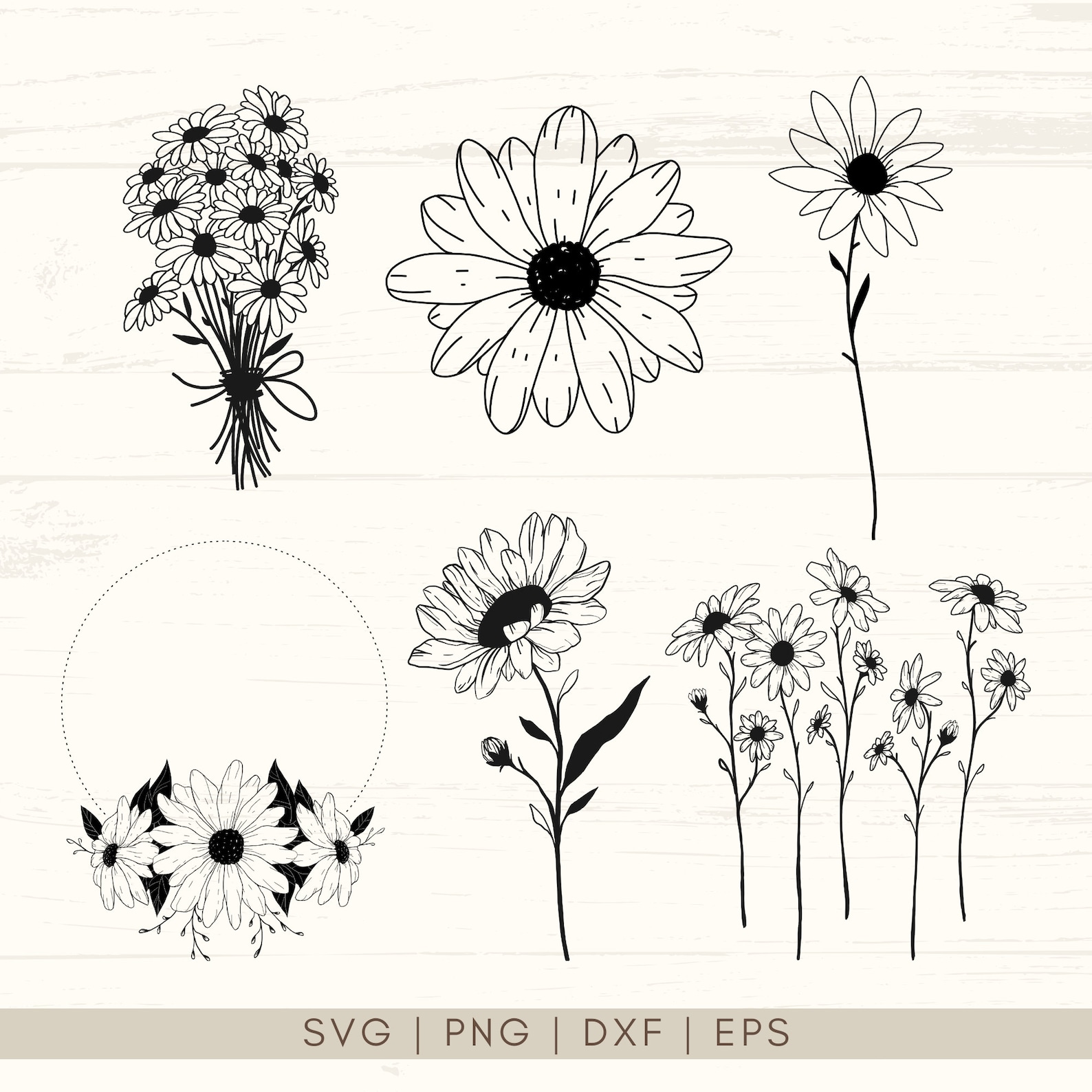 Daisy SVG | Daisy Svg Bundle | Wildflower Svg | Botanical Svg | Daisy ...