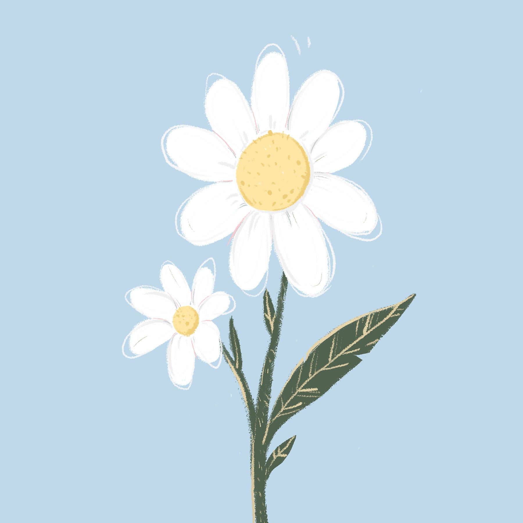 Daisies Tumblr Drawing