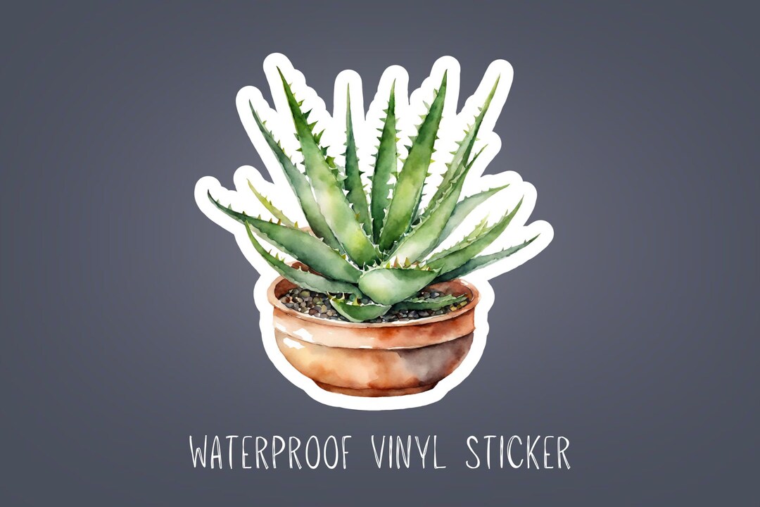 Aloe Vera Plant Sticker: Water-resistant Vinyl Decal - Etsy