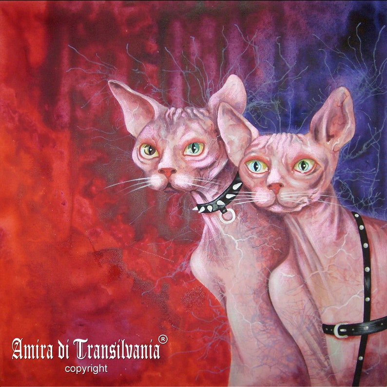 Sphynx Cat Hairless Cat Animal Portrait Fetish Couples - Etsy