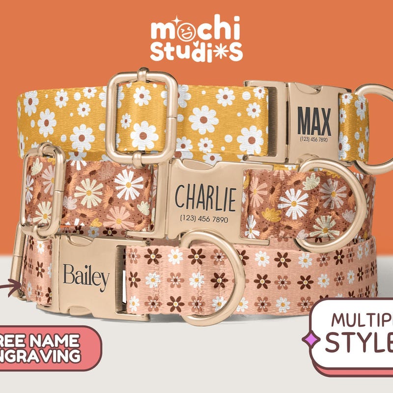 Leather Collar Daisy - Etsy