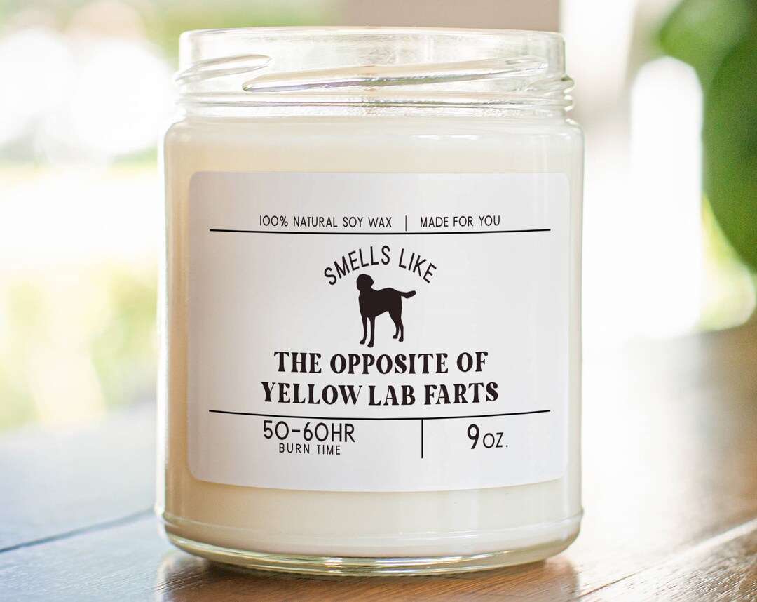 Smells Like the Opposite of Yellow Lab Farts Funny Yellow Lab Dog Mom ...