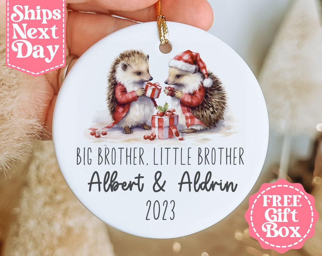Big Sister Christmas Ornament Personalized Sibling Hedgehog Christmas Themed Ornament Little ...
