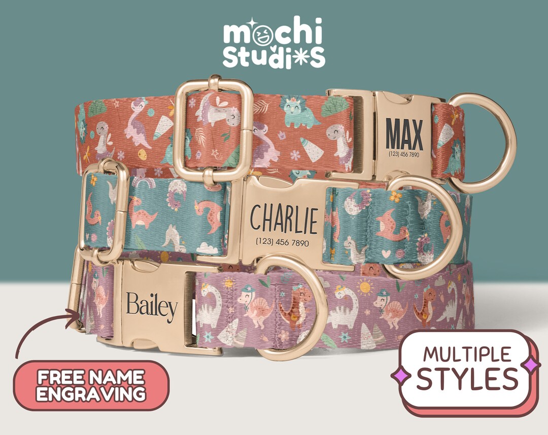 Cute Dinosaur Print Dog Collar, Personalized Dog Collar With Name ...