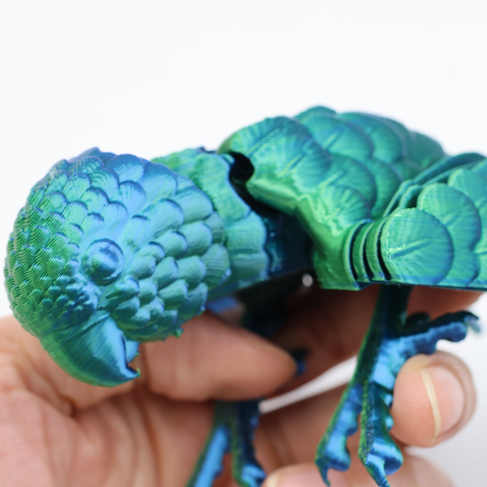 Articulated Parrot/articulated Bird/3d Printed Fidget Toy/desktop ...