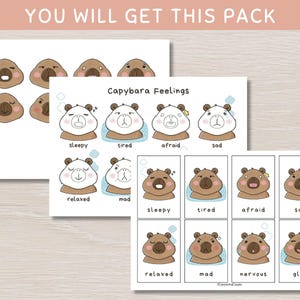 Capybara Emotions Activity for Kids Printable Montessori Toddler ...