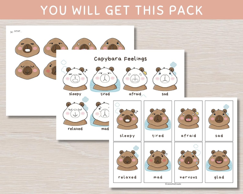 Capybara Emotions Activity for Kids Printable Montessori Toddler ...