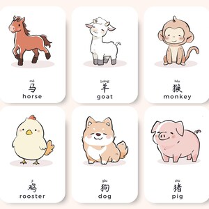 12 Bilingual Chinese Zodiac Animal Cards Montessori Flashcards ...