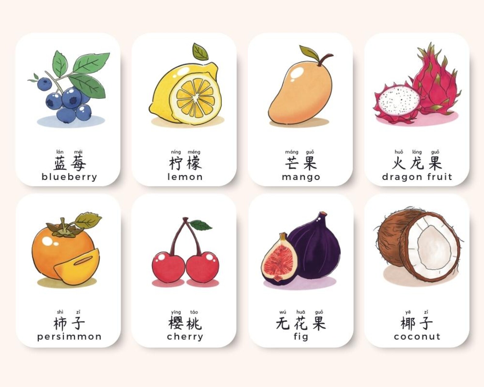 Bilingual Chinese English Fruits Cards Montessori Flashcards Preschool ...
