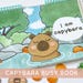 Capybara Emotions Activity for Kids Printable Montessori Toddler ...