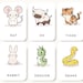 12 Chinese Zodiac Animal Cards Montessori Flashcards Preschool ...