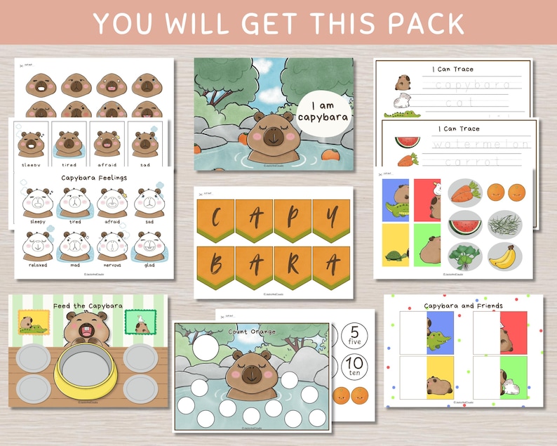 Capybara Busy Book Homeschool Activities Learning Bundle Emotions ...