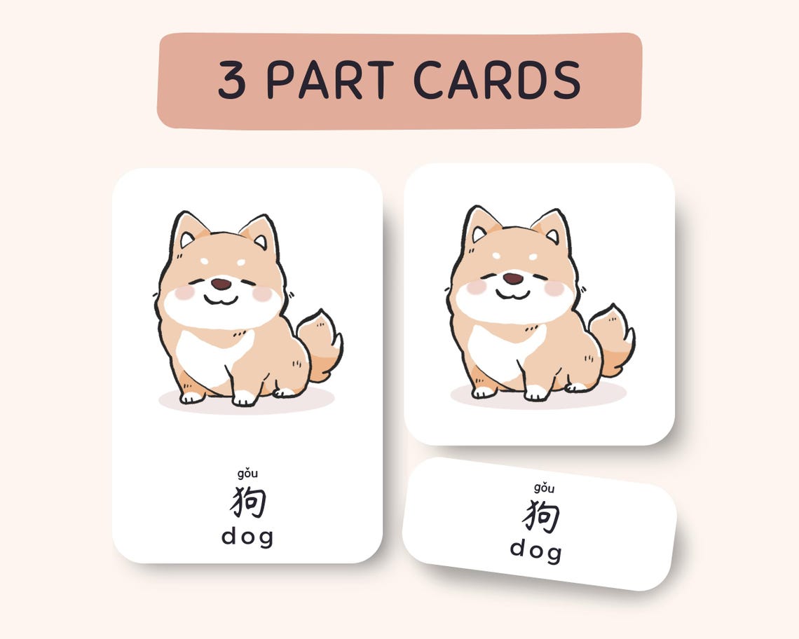 12 Bilingual Chinese Zodiac Animal Cards Montessori Flashcards ...