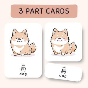 12 Bilingual Chinese Zodiac Animal Cards Montessori Flashcards ...